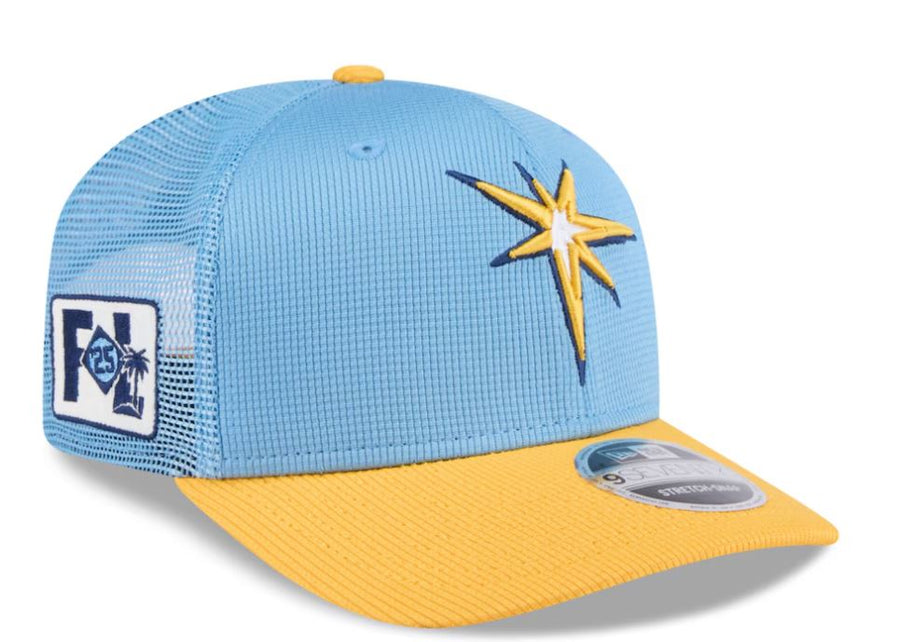 Tampa Bay Rays Gear and Merchandise | The Bay Republic