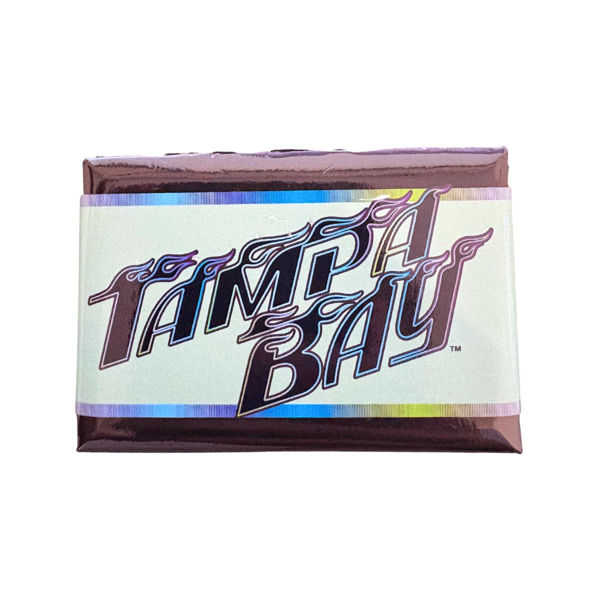 Rays City Connect Tampa Bay Flames Logo 2x3 Magnet | The Bay Republic