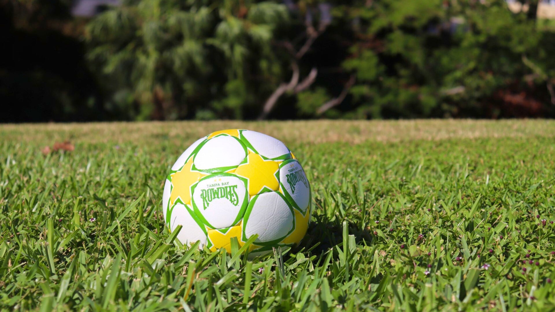 The Bay Republic | Tampa Bay Rays & Rowdies Merchandise