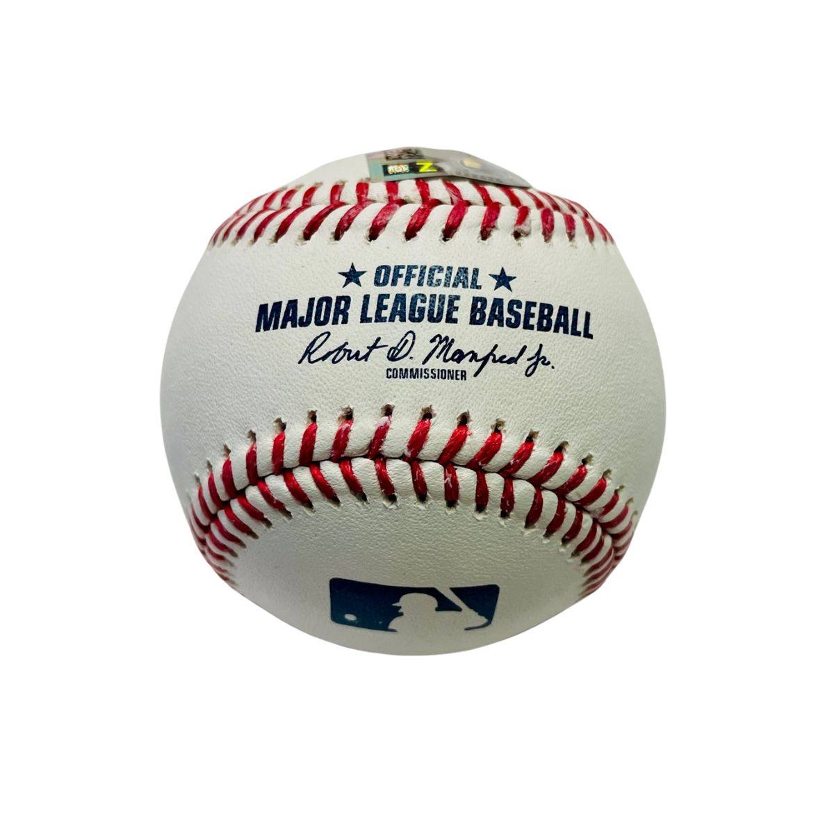 Rays Authentic Memorabilia - Home – The Bay Republic