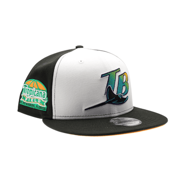 Tropicana Field Merchandise | Tampa Bay Rays | The Bay Republic